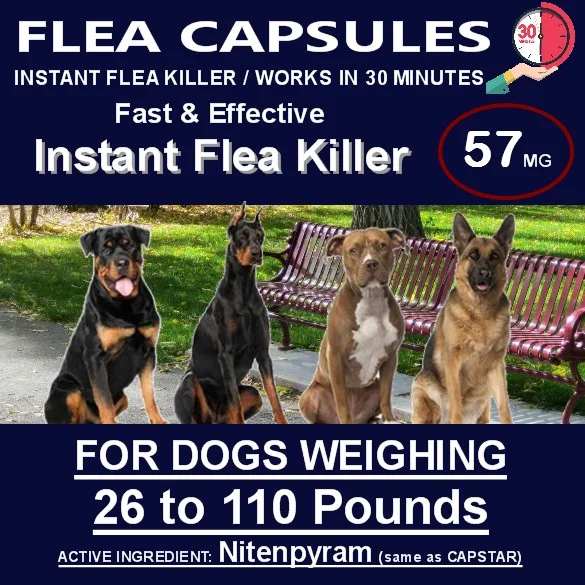 Nitenpyram Flea Control